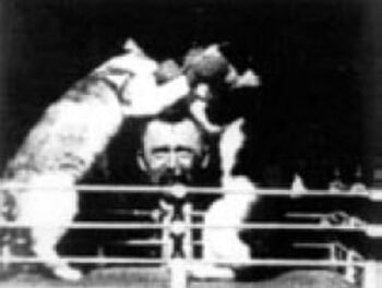 Sports History On This Day: September 8